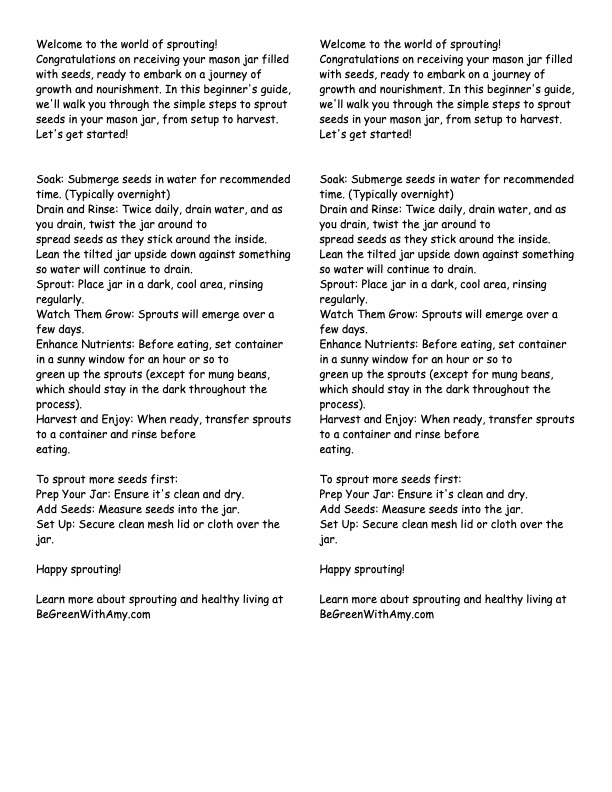 Spreading Holiday Cheer with Budget-Friendly DIY Seed Sprouting Kits!